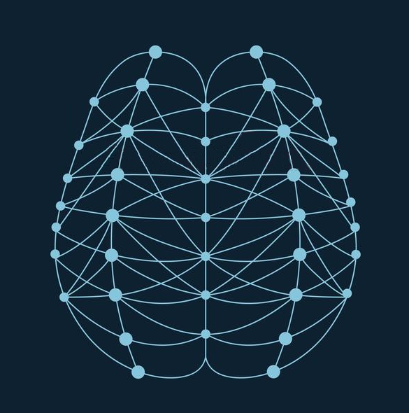 Think Like A Programmer NeuraSapiens